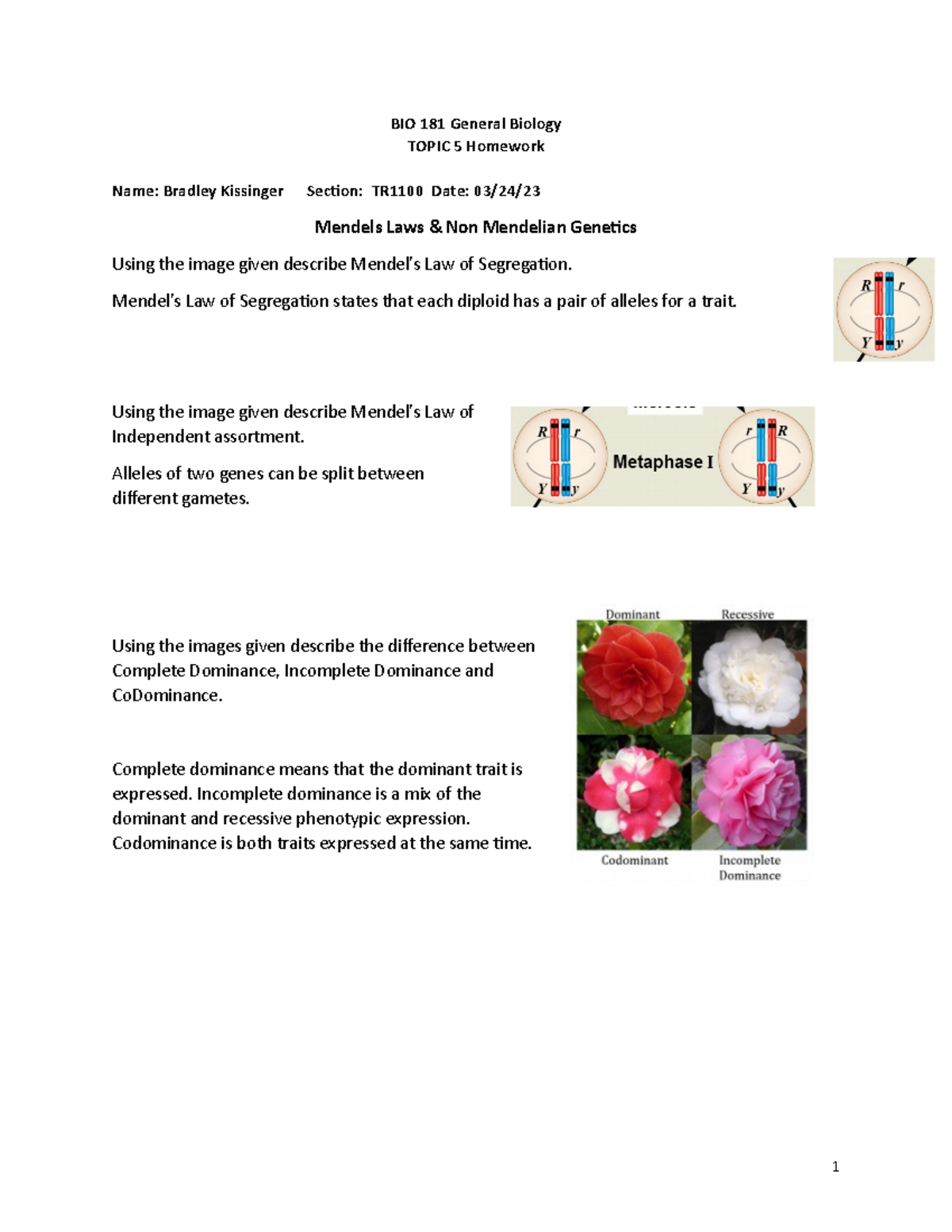 WEEK 10-HW- Chapter 14 - Francis homework - BIO 181 General Biology ...