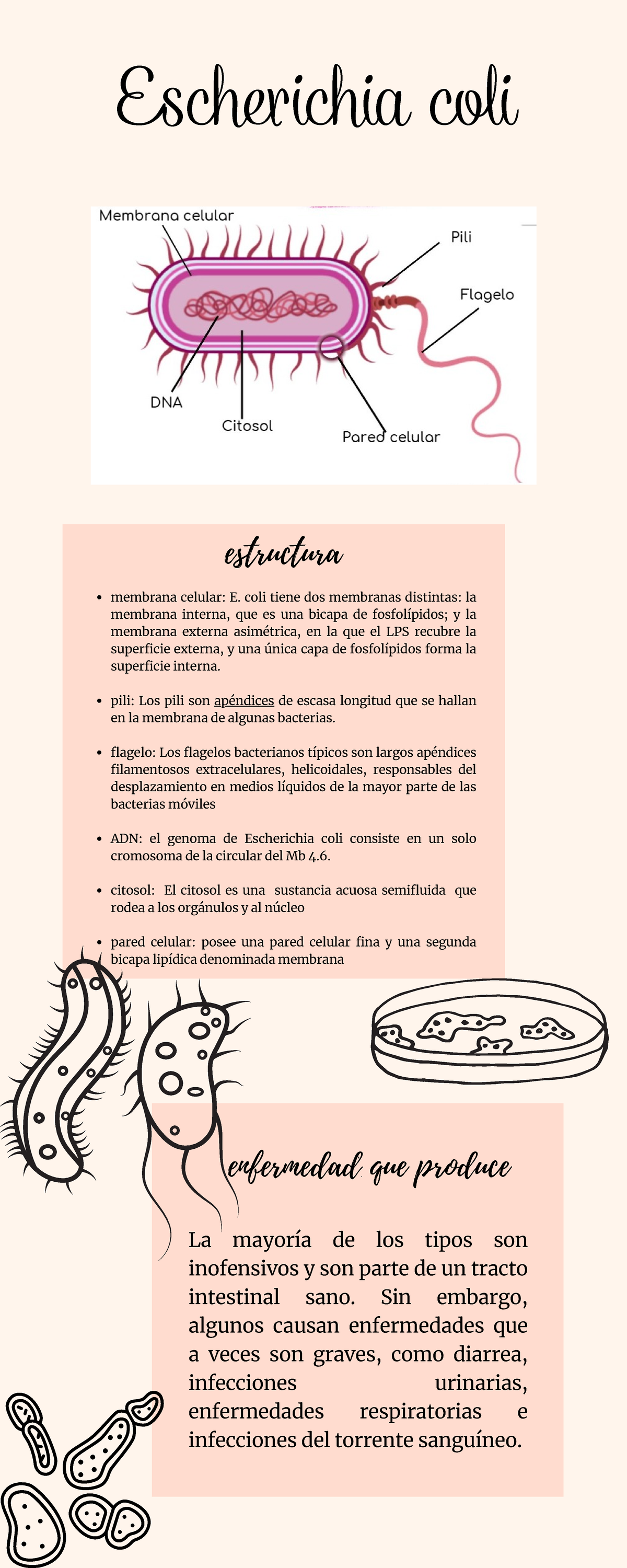 Methanococcus maripaludis - membrana celular: E. coli tiene dos ...