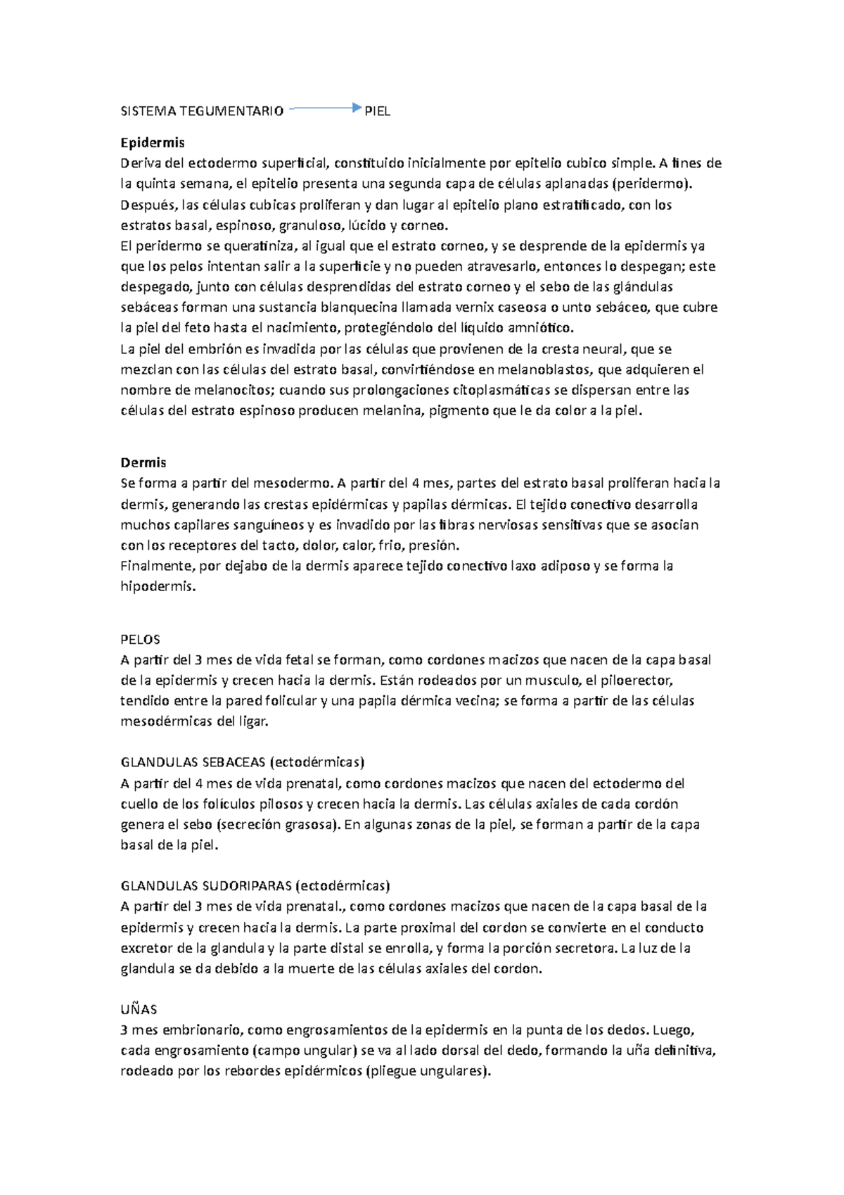 Sistema Tegumentario Piel Sistema Tegumentario Piel Epidermis Deriva