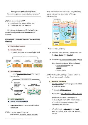 It Talks about Diplococci Bacteria - Microscopy, development, processes ...