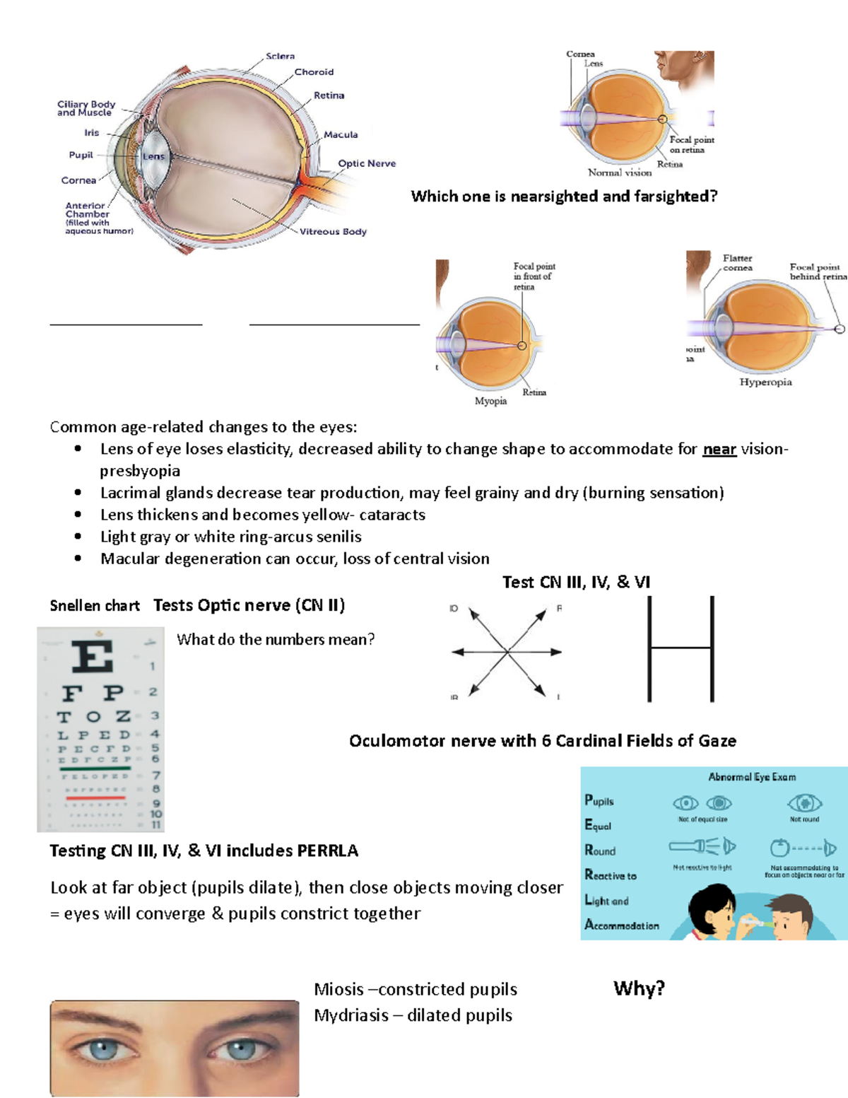 Eyes Ears handout - Which one is nearsighted and farsighted