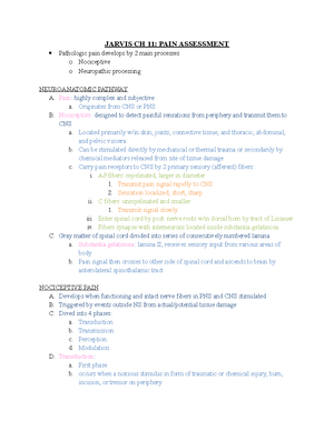 NR302 RUA Health assessment paper - RUA: Health History and Physical ...