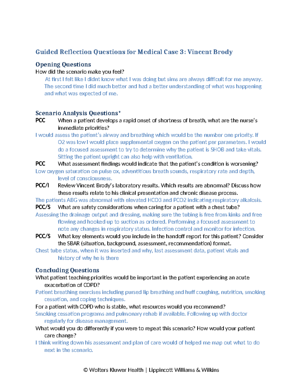 V Sim Guided Reflection Questions - Guided Reflection Questions for ...