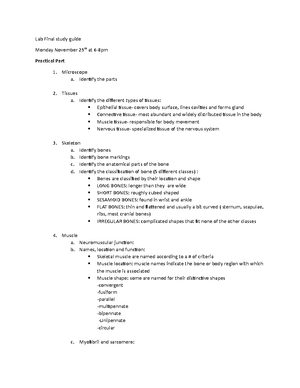 Chapter 13 Assignment - Chapter 13 Assignment 12 cranial nerves functions & location Olfactory ...