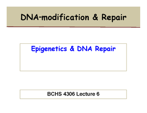 BCHS 4306 Lecture 13-pi RNAs & Genome Surveillance - BCHS 4306 ...