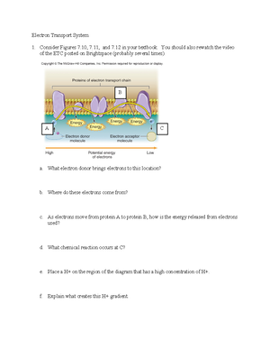Biology 8 - notes and homework - Chapter 2 chemical context organisms ...