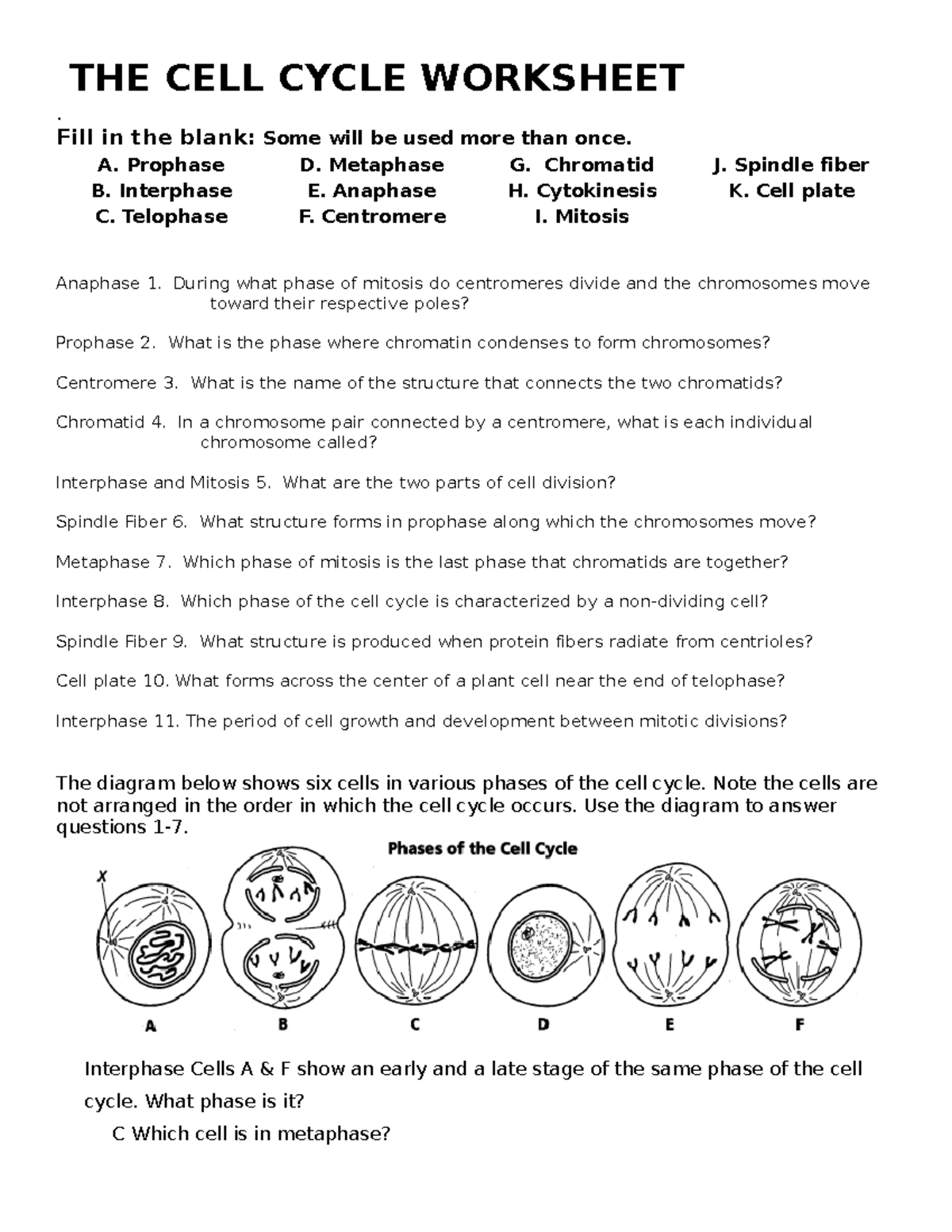 Worksheet Review Cellcyle AND Mitosis - THE CELL CYCLE WORKSHEET . Fill ...