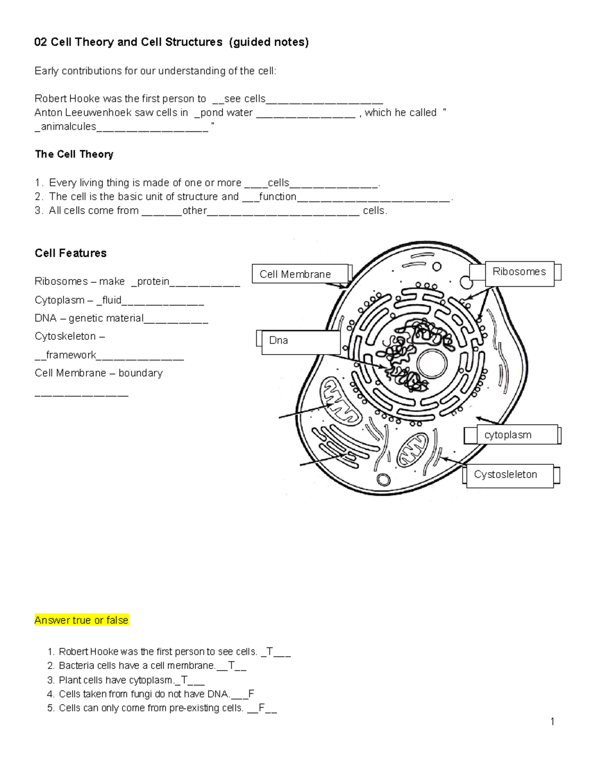 02 Cell Theory and Cell Structures (guided notes) - Every living thing ...