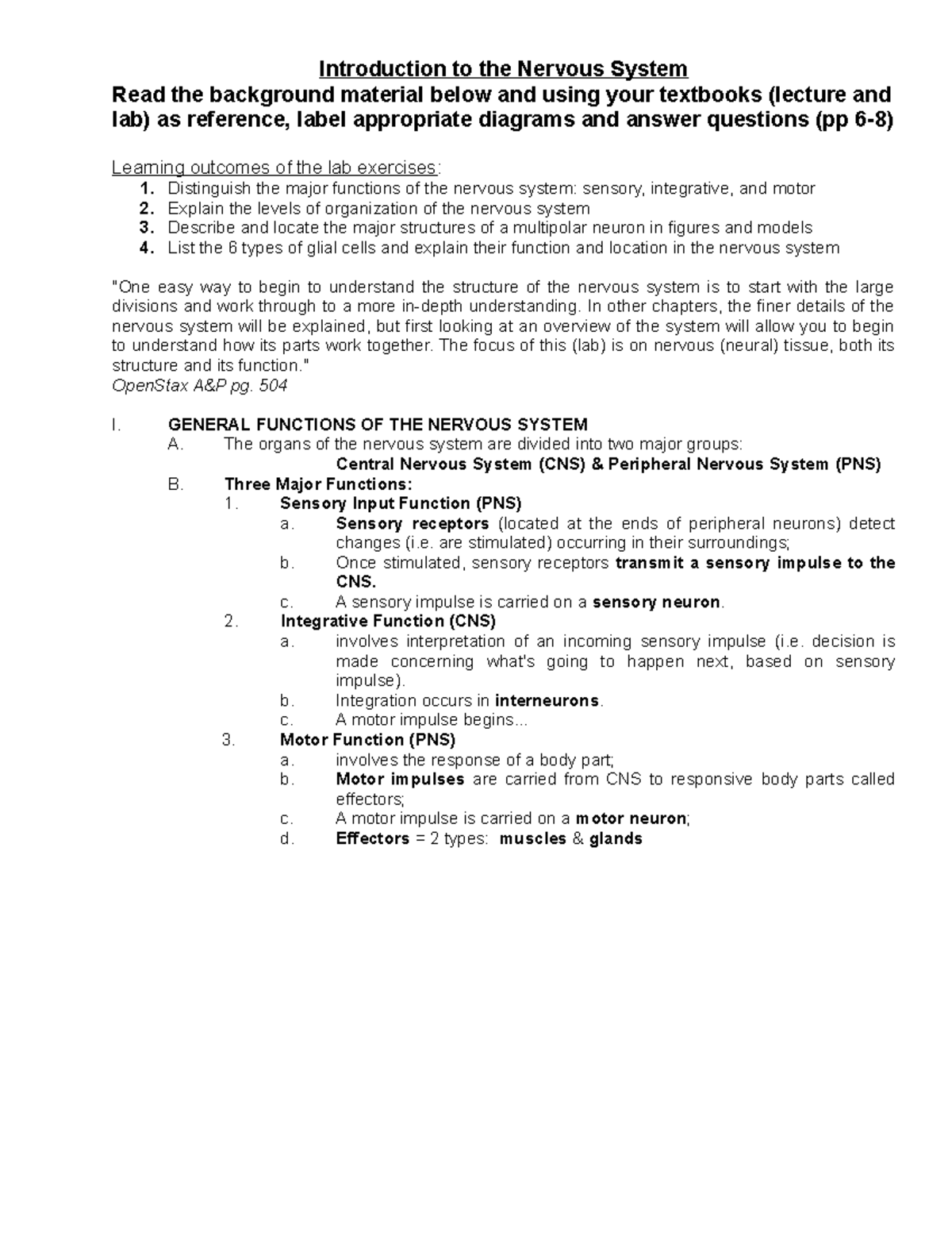 Neuron Lab Activity M - MD1 - Introduction to the Nervous System Read ...