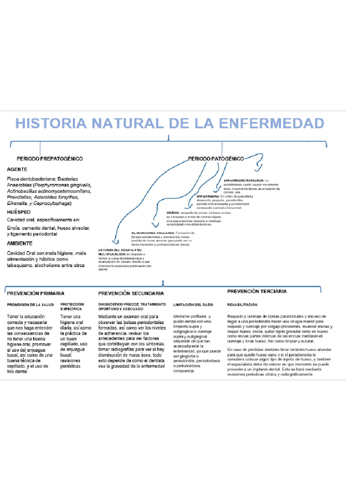 Esquema - HISTORIA NATURAL DE LA ENFERMEDAD PERIODO PREPATOGÉNICO ...