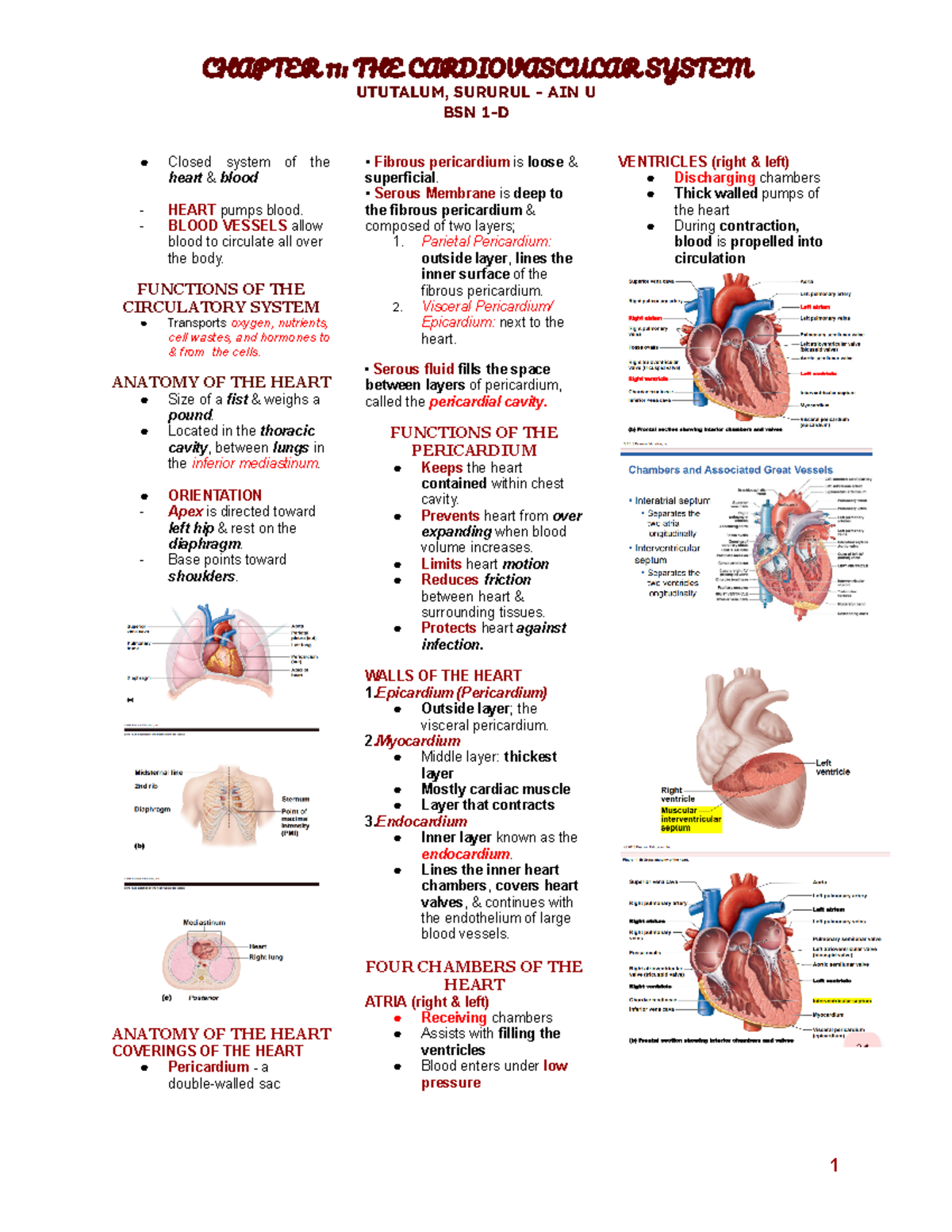 Cardiovascular System - UTUTALUM, SURURUL - AIN U BSN 1-D Closed system ...