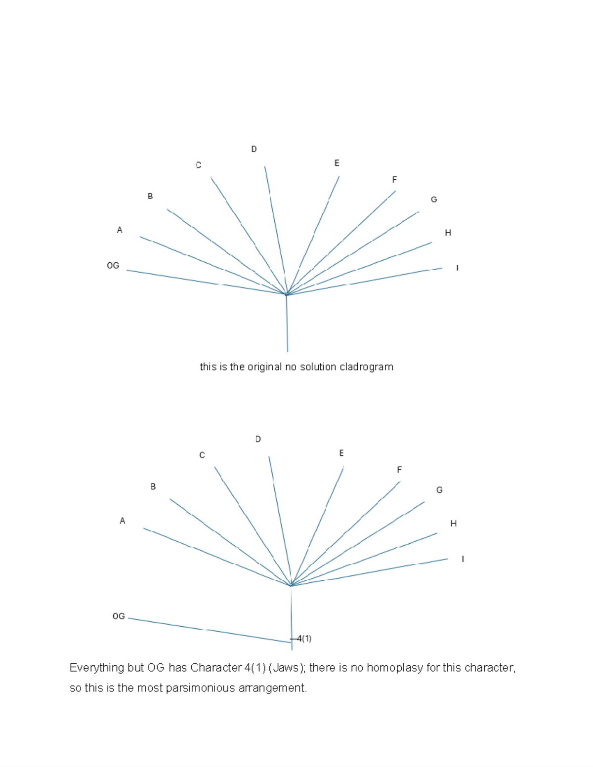 Bio1130 lab 4 cladogram - this is the original no solution cladrogram ...