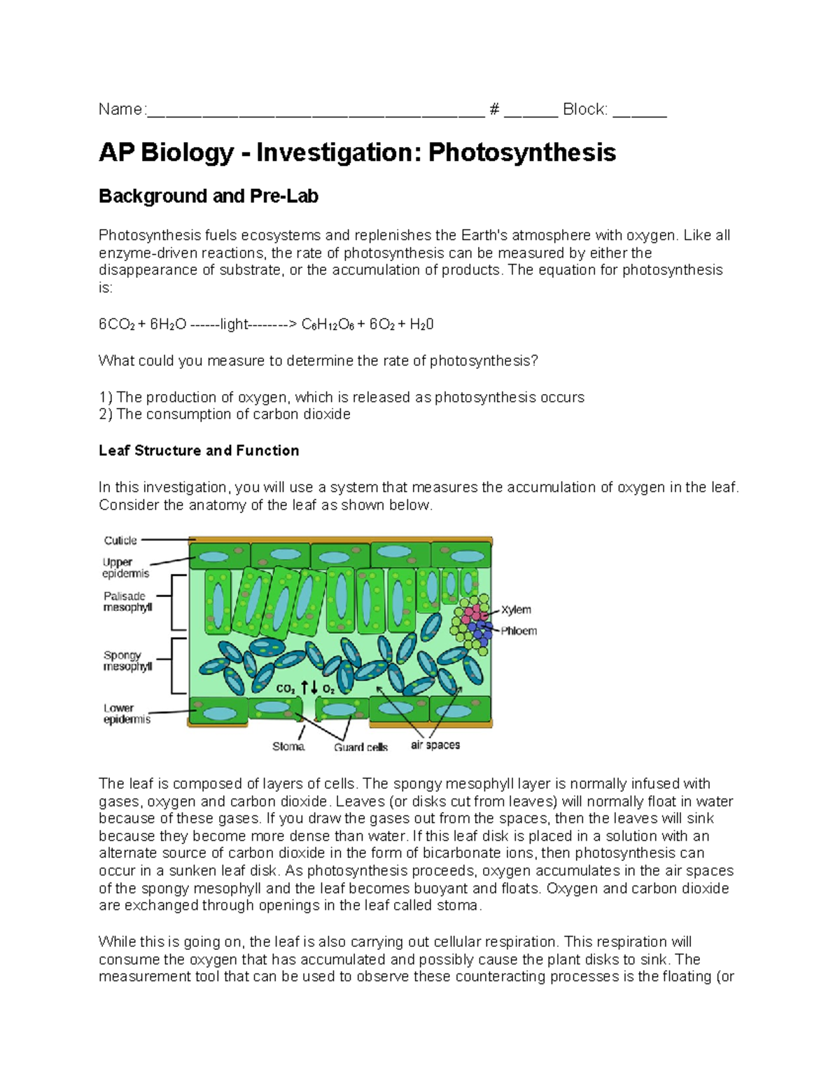 Photosynthesis lab use - Name ...