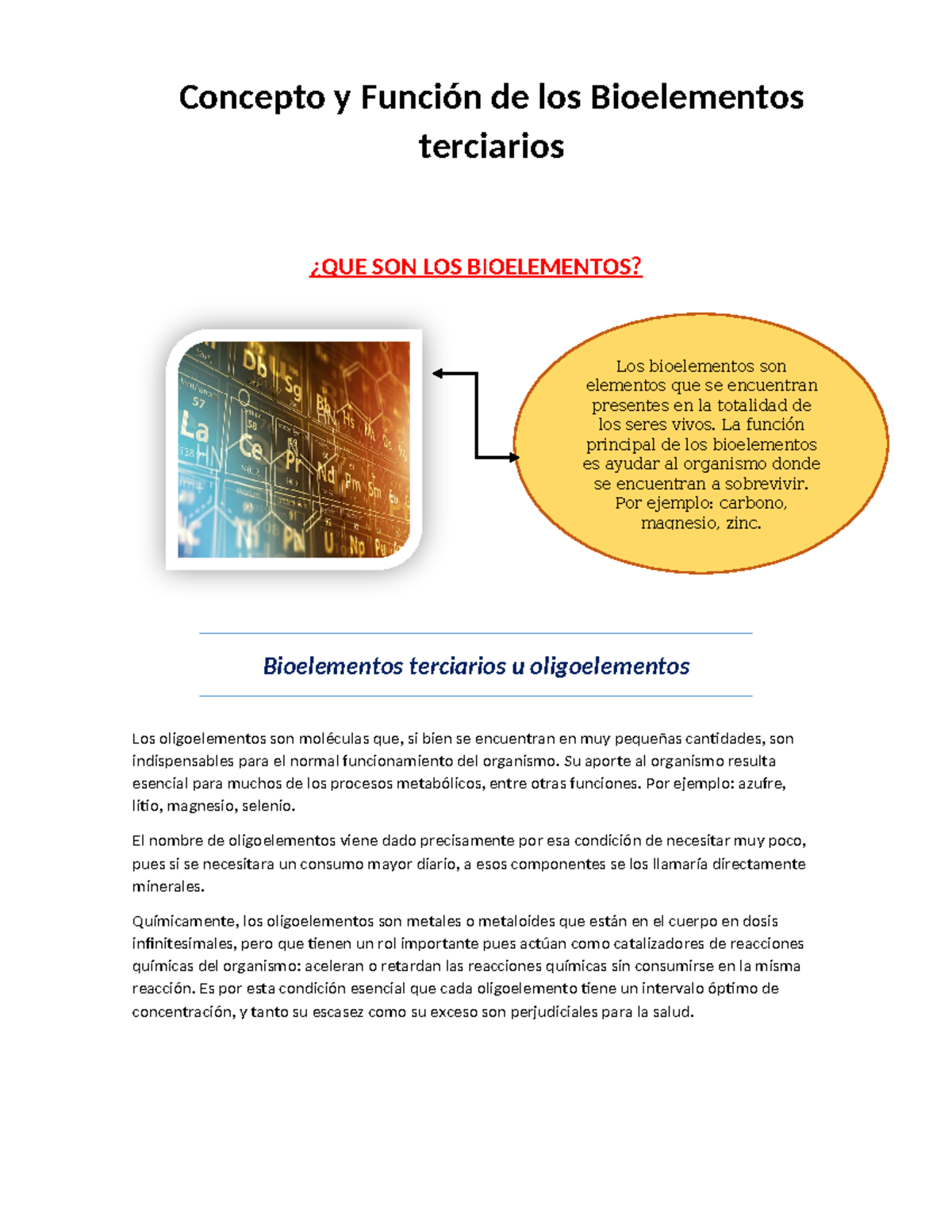 QUE SON LOS BIOELEMENTOS - ¿QUE SON LOS BIOELEMENTOS? Bioelementos ...