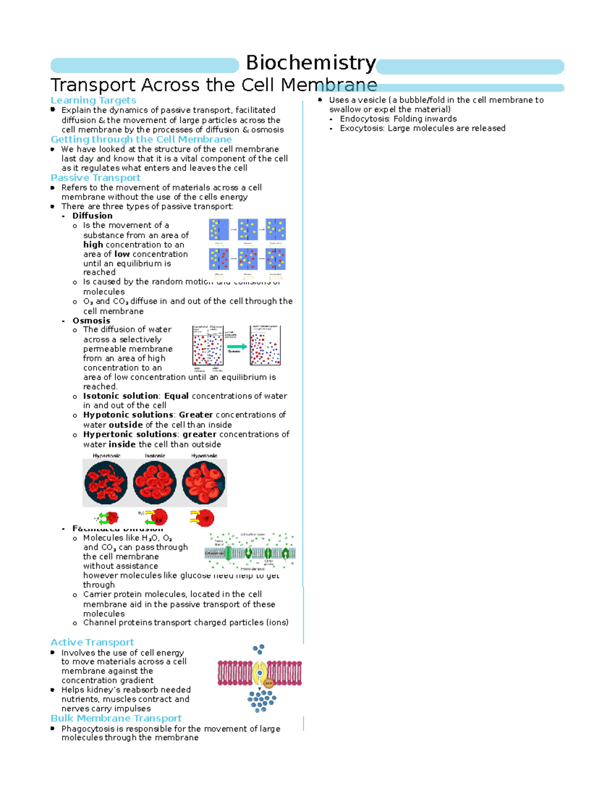 Lesson 12 - Transport Across the Cell Membrane - Biochemistry Transport ...