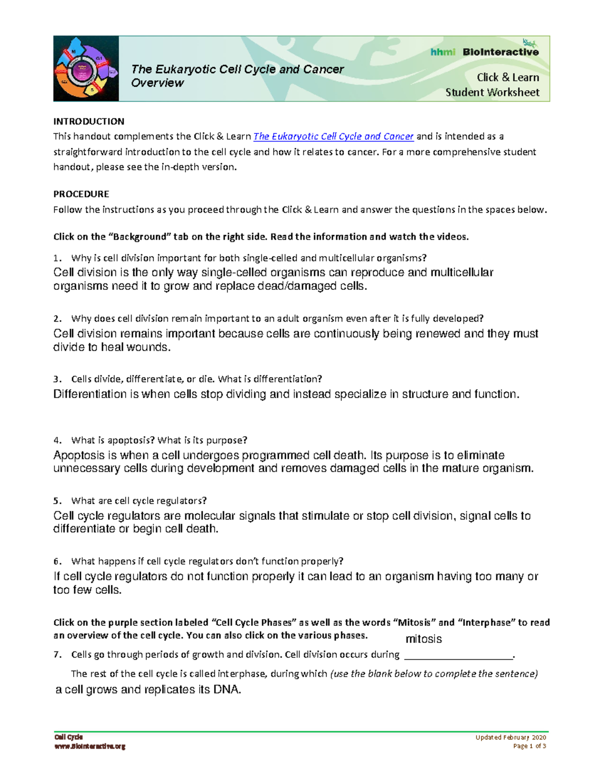 Assignment 4 cell cycle - Click & Learn Student Worksheet The ...