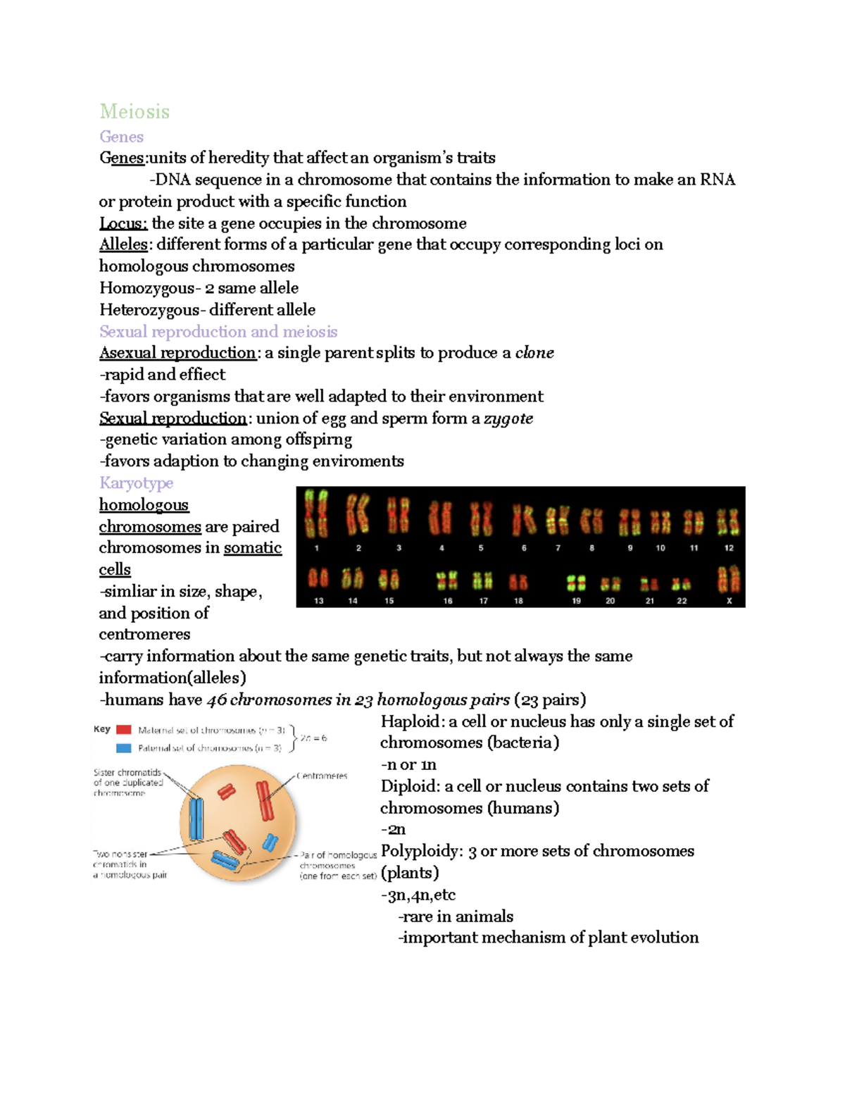 Meiosis 10 - Meiosis Genes Genes:units of heredity that affect an ...