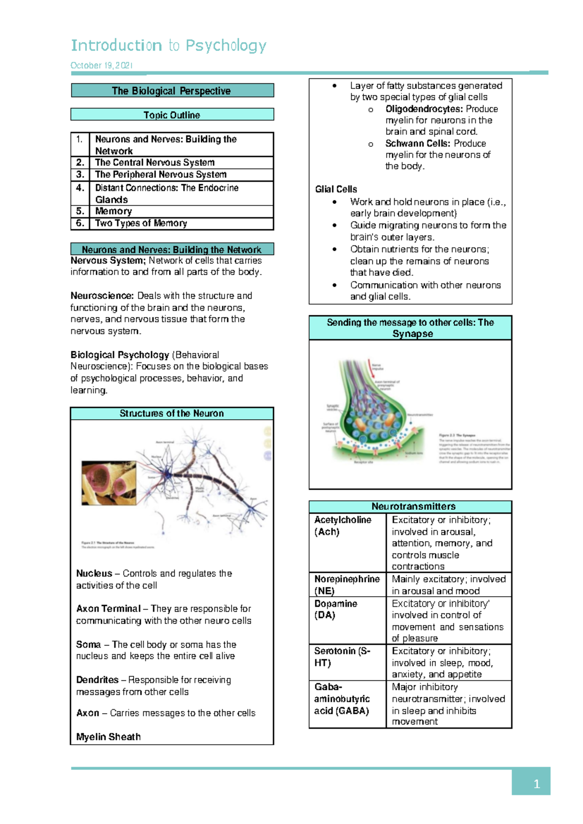 The Biological Perspective - October 19, 2021 Structures of the Neuron ...