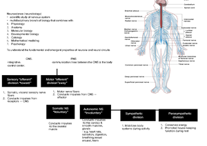 General surgery - BDS THIRD PROFESSIONAL EXAMINATION 2007 GENERAL ...