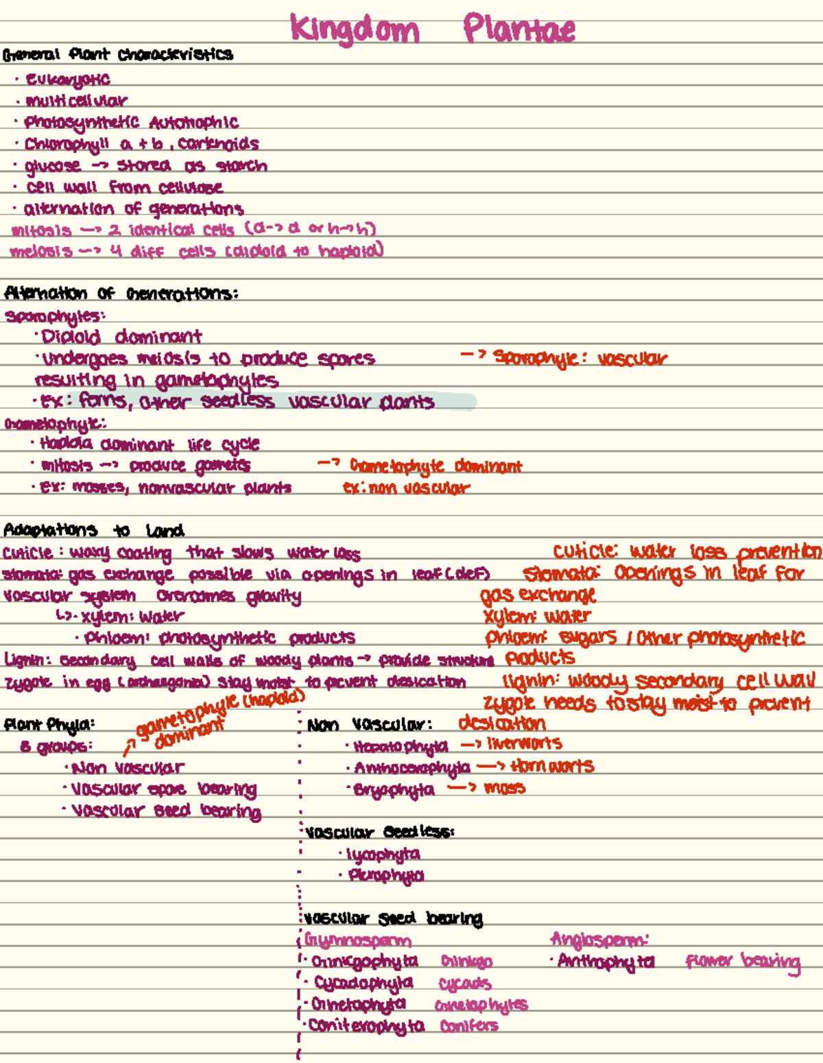 Exams 2 - Condensed class notes that cover topics of Kingdom Plantae ...