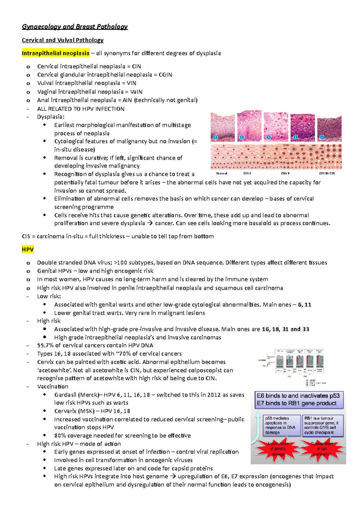 Gynae and Breast Pathology - Gynaecology and Breast Pathology Cervical ...