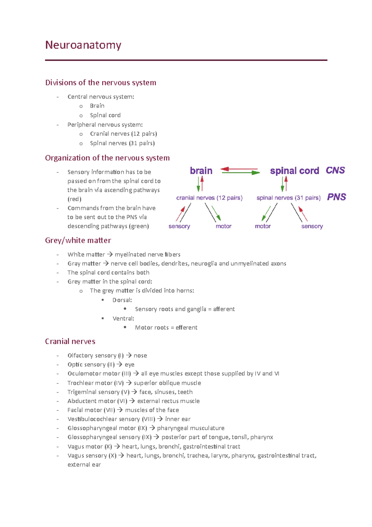 Neuroanatomy - Neuroanatomy Divisions of the nervous system Central ...