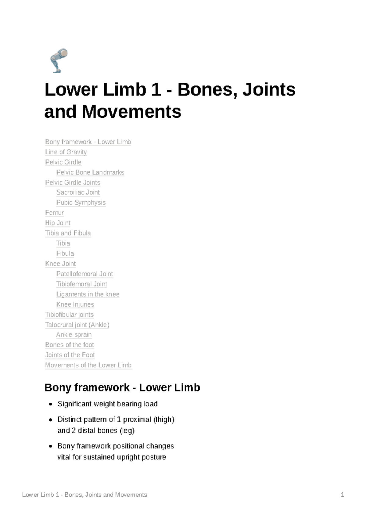 Lower Limb 1 - Bones Joints and Movements - í Lower Limb 1 - Bones ...