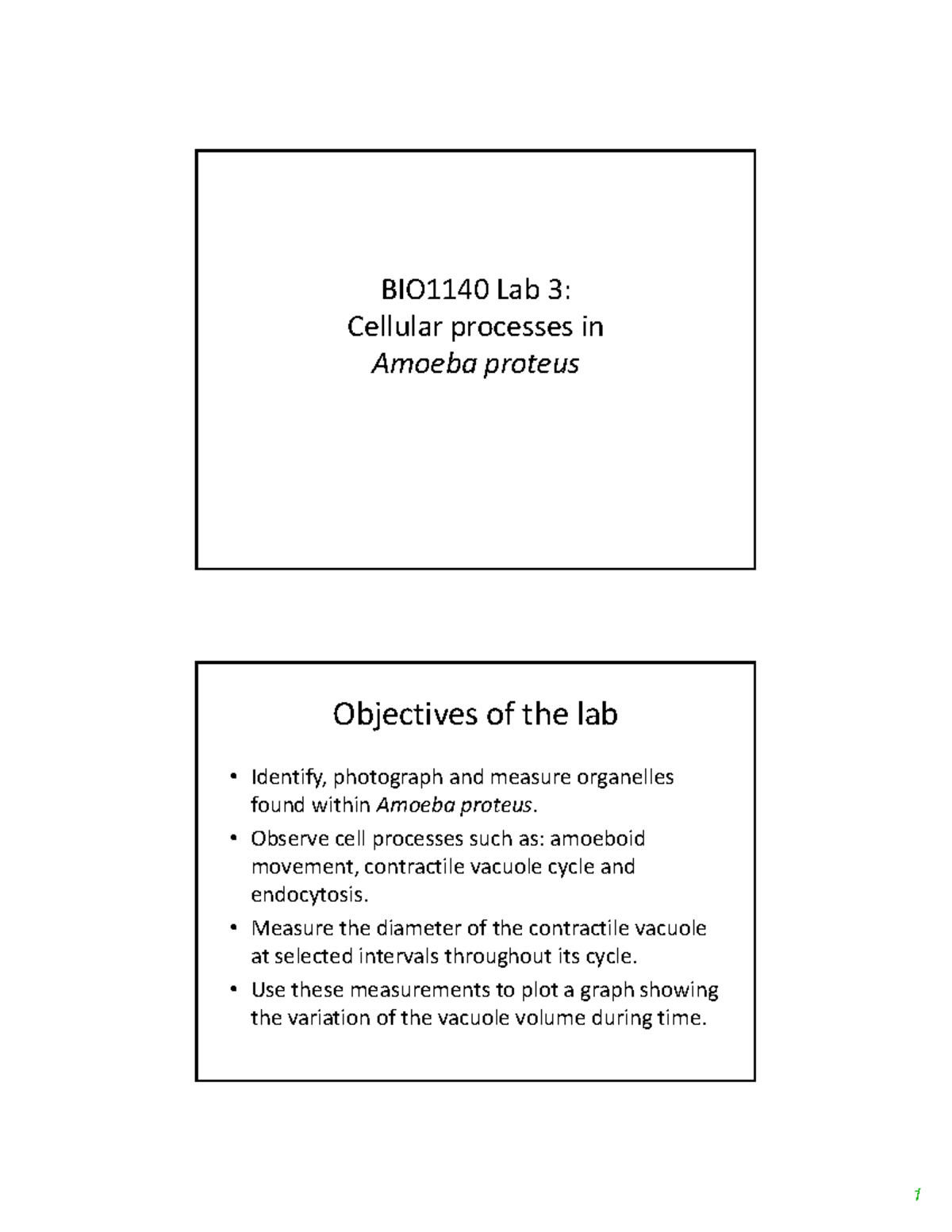 BIO1140 lab3 prelab - BIO1140 Lab 3:BIO1140 Lab 3: Cellular processes in Amoeba proteus ...