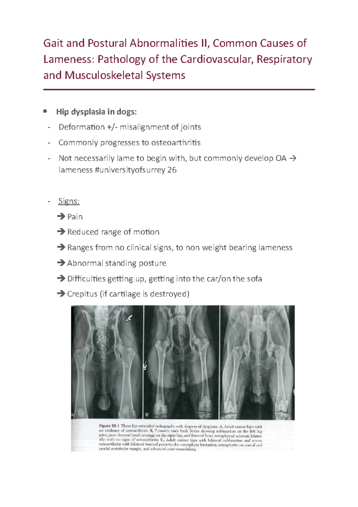 Gait and Postural Abnormalities II lameness Pcrms - Gait and Postural ...