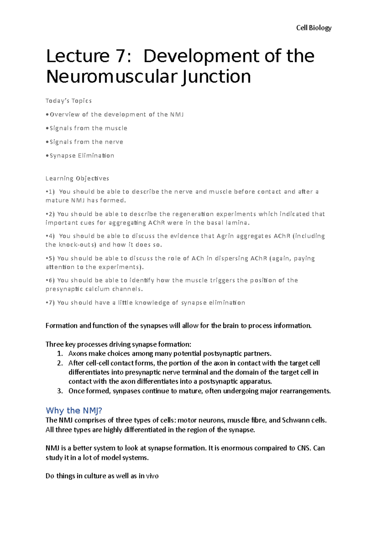 Lecture 7- Development of the Neuromuscular Junction - Cell Biology ...