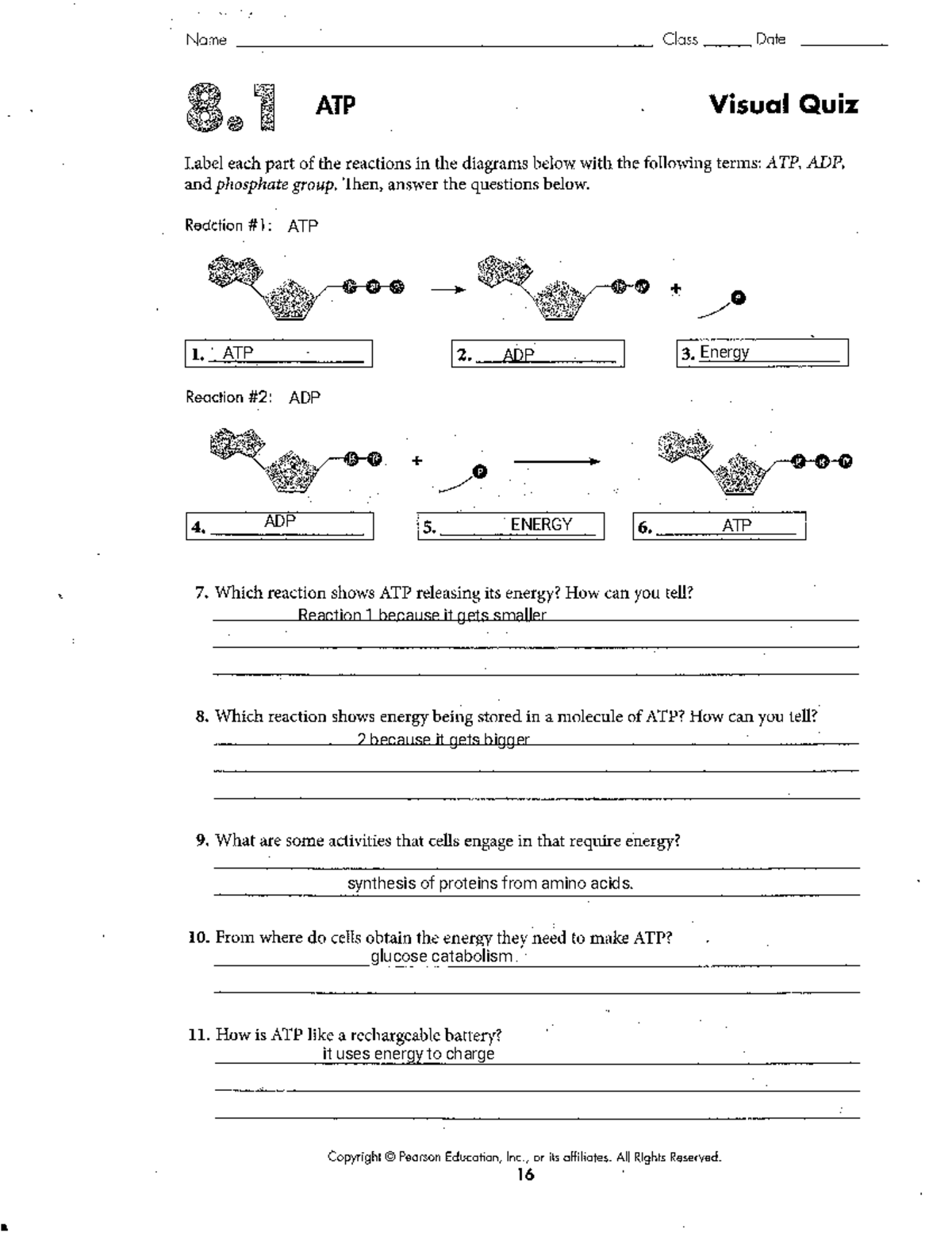 Madison Pineda - 8.1 ATP - Name Class Date aLl ATP Visual Quiz Label ...