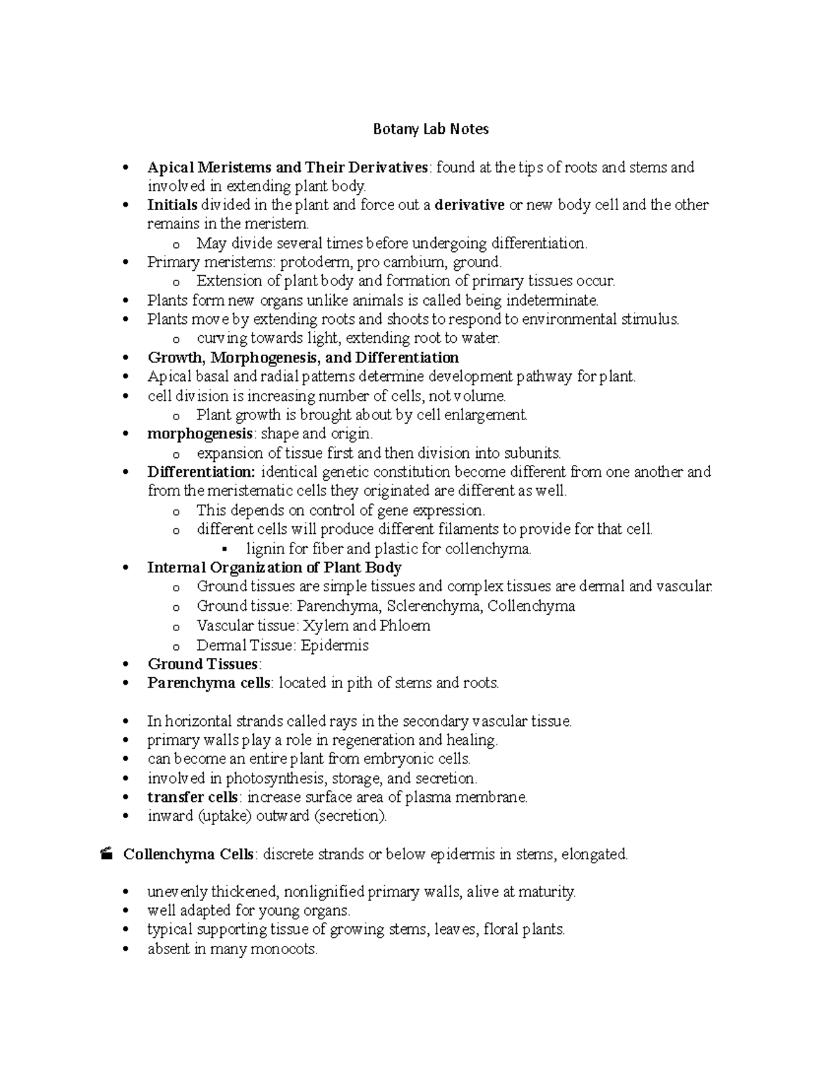 Botany Lab Notes - Botany Lab Notes Apical Meristems and Their ...