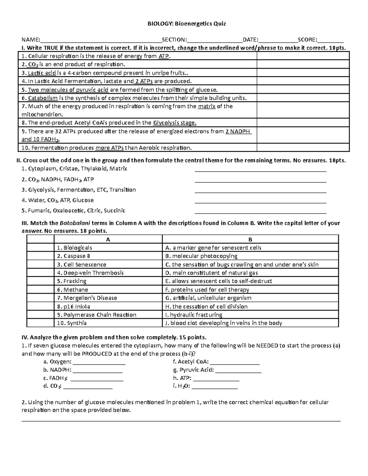 Bioenergetics - Practice worksheets and study materials - BIOLOGY ...