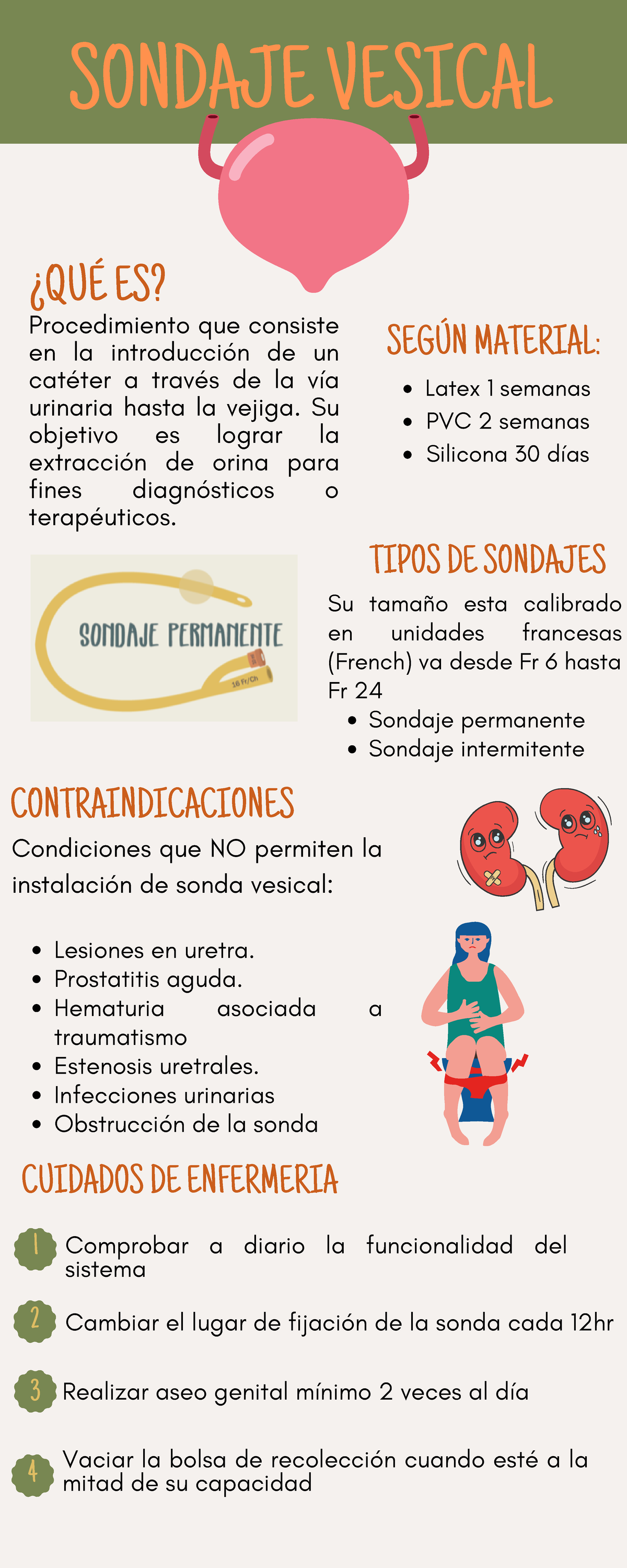 Sondaje vesical - SONDAJE VESICAL ¿QUÉ ES? Procedimiento que consiste ...