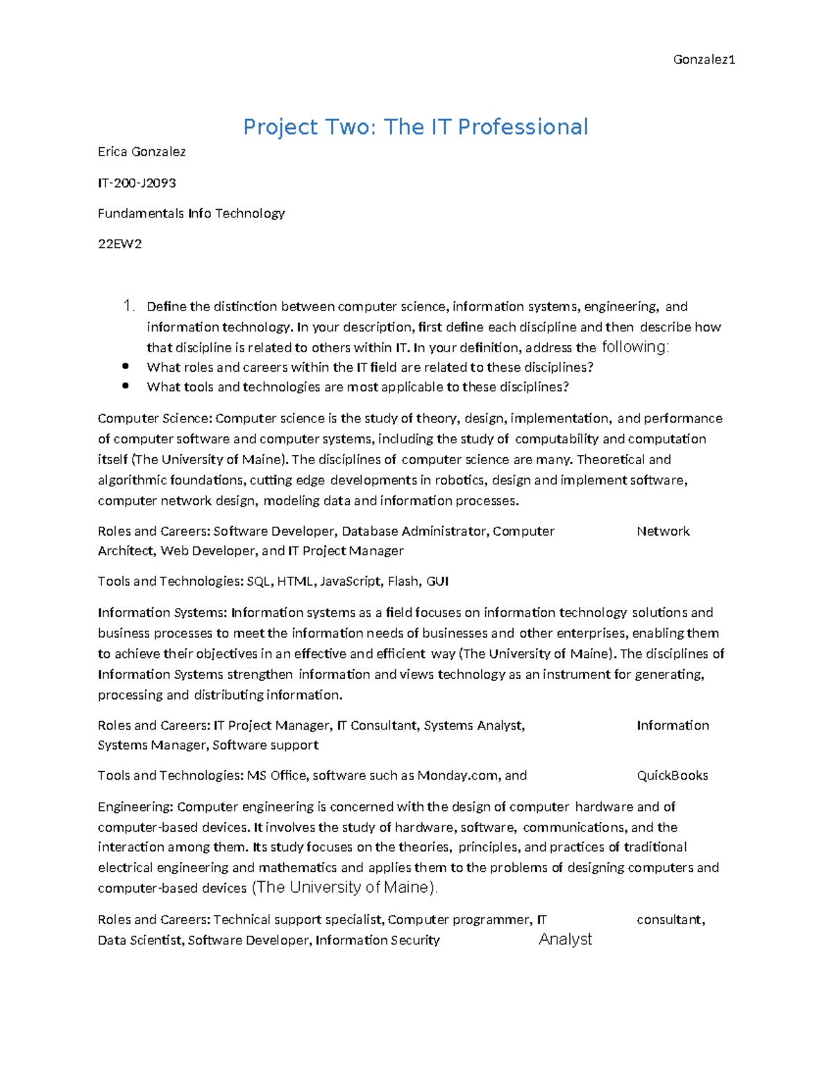 Project Two The IT Professional - Project Two: The IT Professional ...