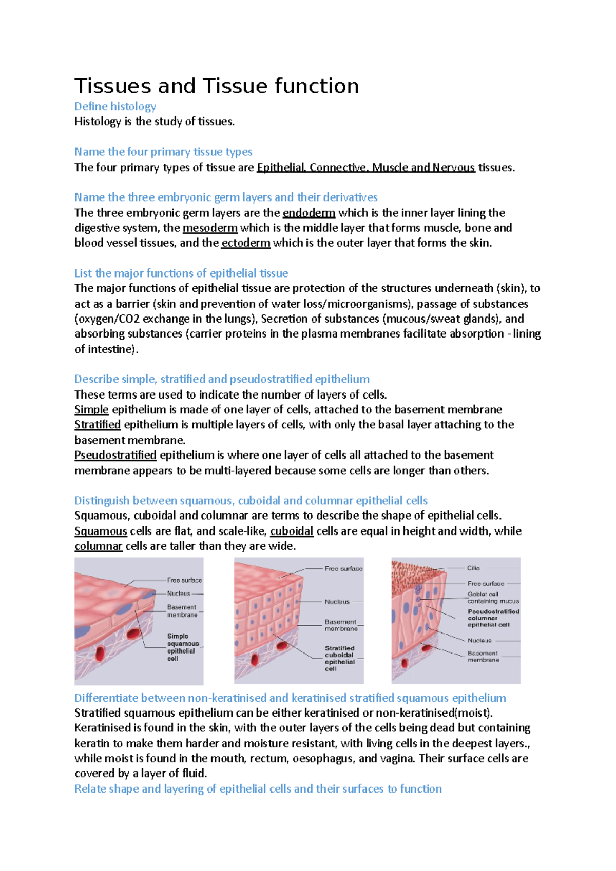 Tissues and Tissue function - Tissues and Tissue function Define ...