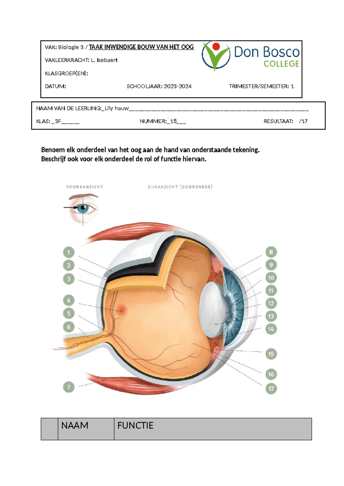 Thema 2 inwendig bouw oog (macroscopisch) Lily hauw - Benoem elk ...