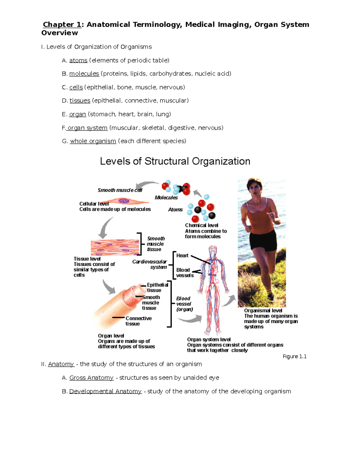 Chap 1 - Intro and Terminology - Chapter 1: Anatomical Terminology ...