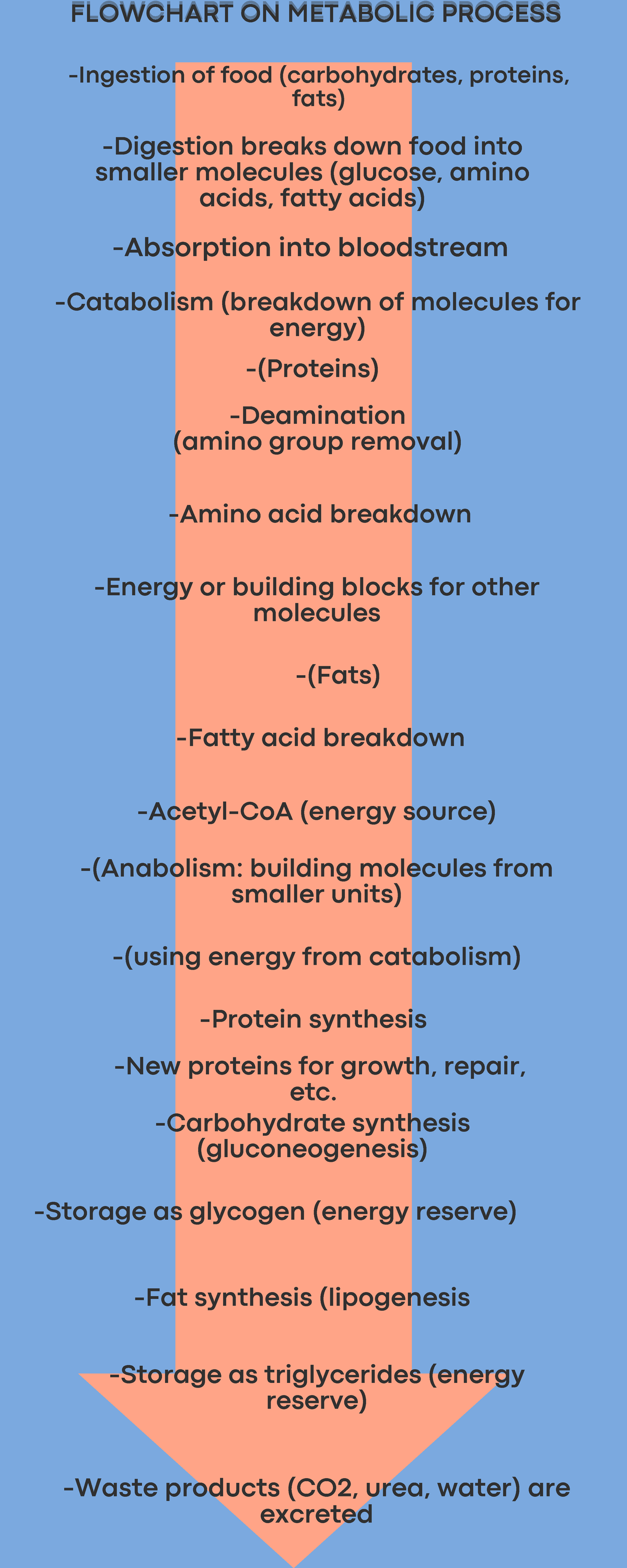 Flowchart - FLOWCHART ON METABOLIC PROCESSFLOWCHART ON METABOLIC ...