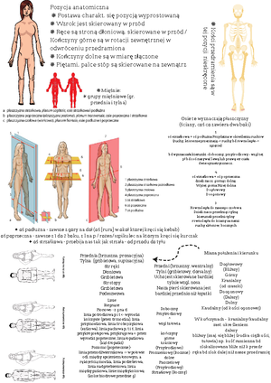 Miednica ŻEŃSKA - MIEDNICA ŻEŃSKA W UJĘCIU ANATOMICZNYM I POŁOŻNICZYM ...