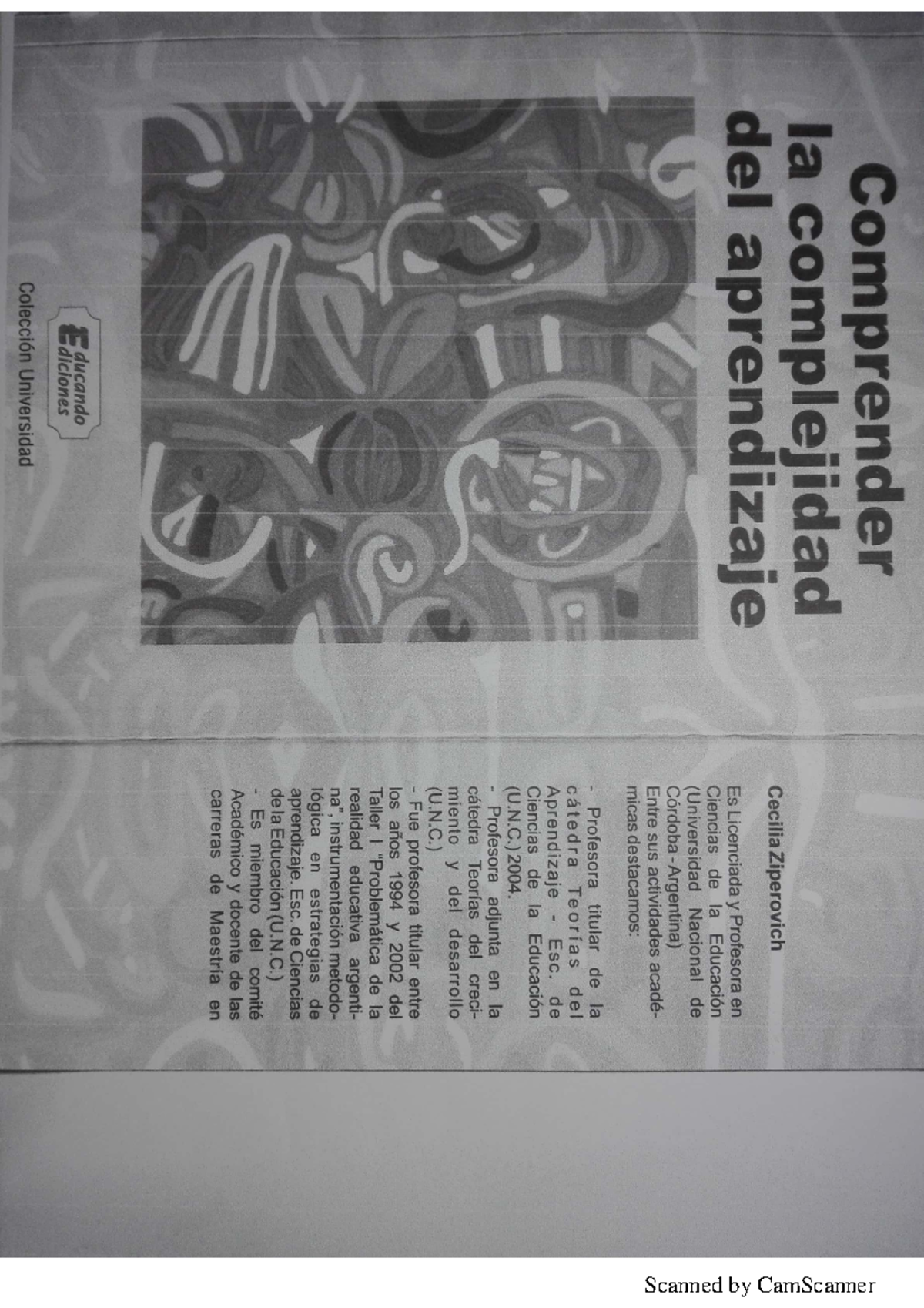 Comprender la Complejidad del Aprendizaje. Cap III. Cecilia Ziperovich - Practica Docente I ...