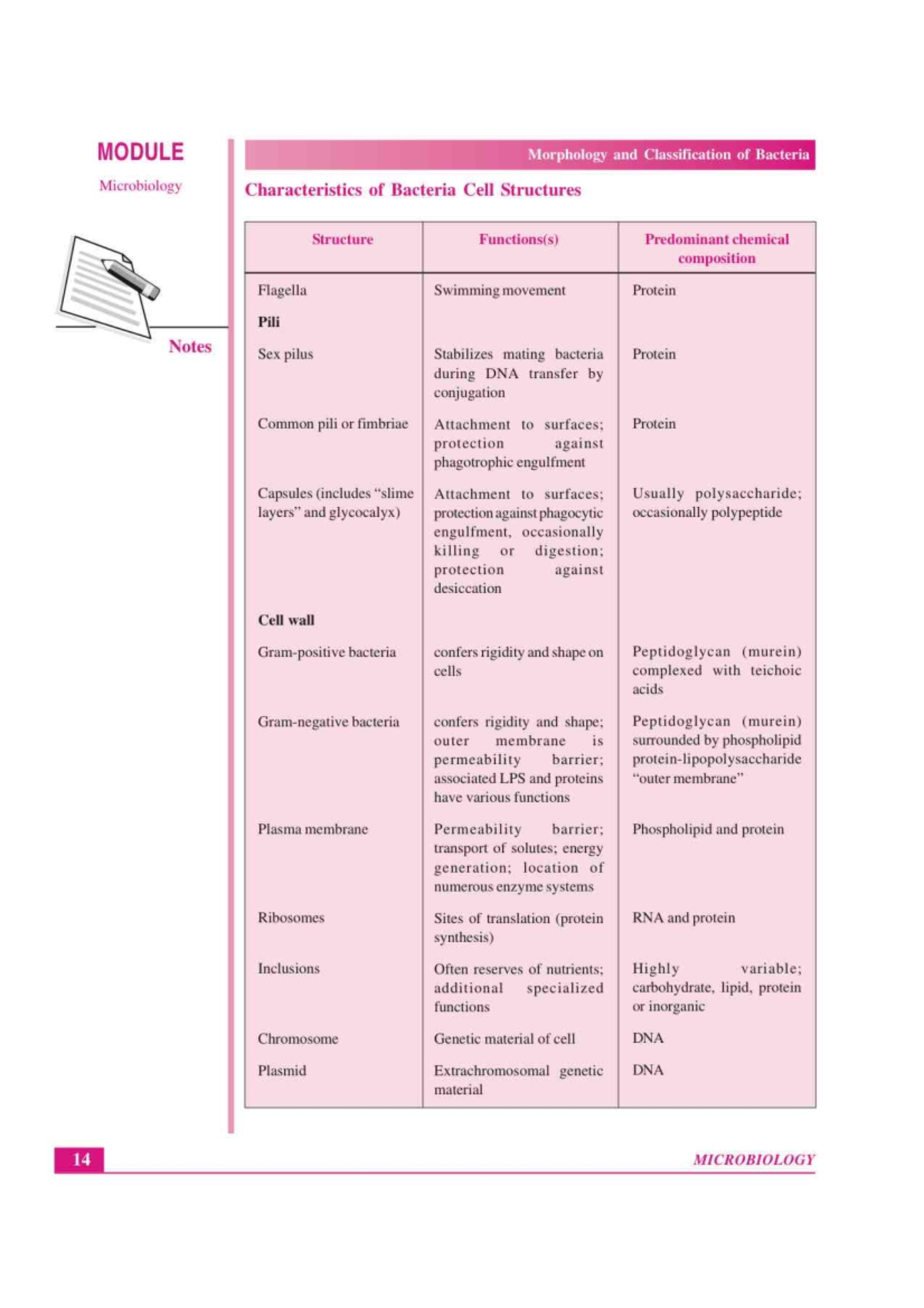 Micro notes 4 - Microbiology - Studocu