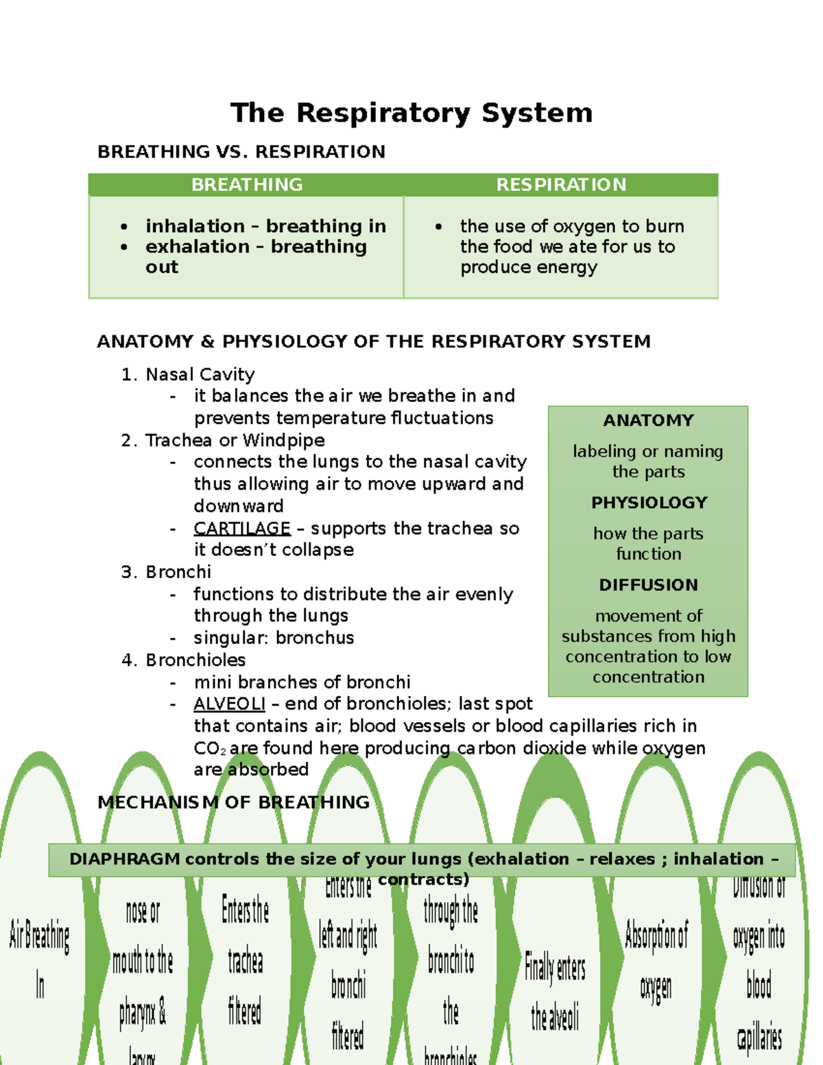 The-Respiratory-System - Environmental Science - La Salle - Dasma - Studocu