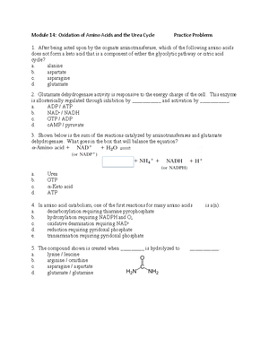 4. Practice Problems Enzyme Kinetics - Enzyme Kinetics (Some questions ...