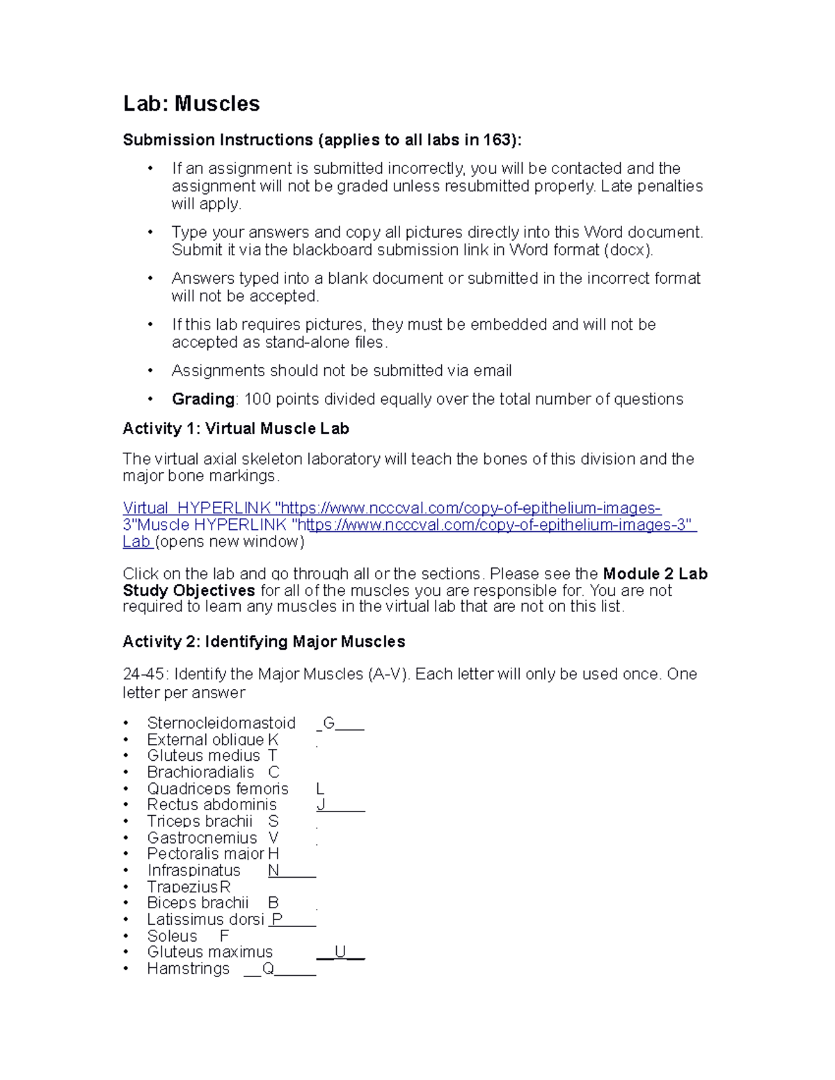 Lab Mus163 - muscle system workshsheet - Lab: Muscles Submission ...