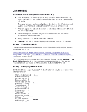 Lab Micro Hist - homework - Lab: Microscopes and Histology Grading: Divide number incorrect by ...