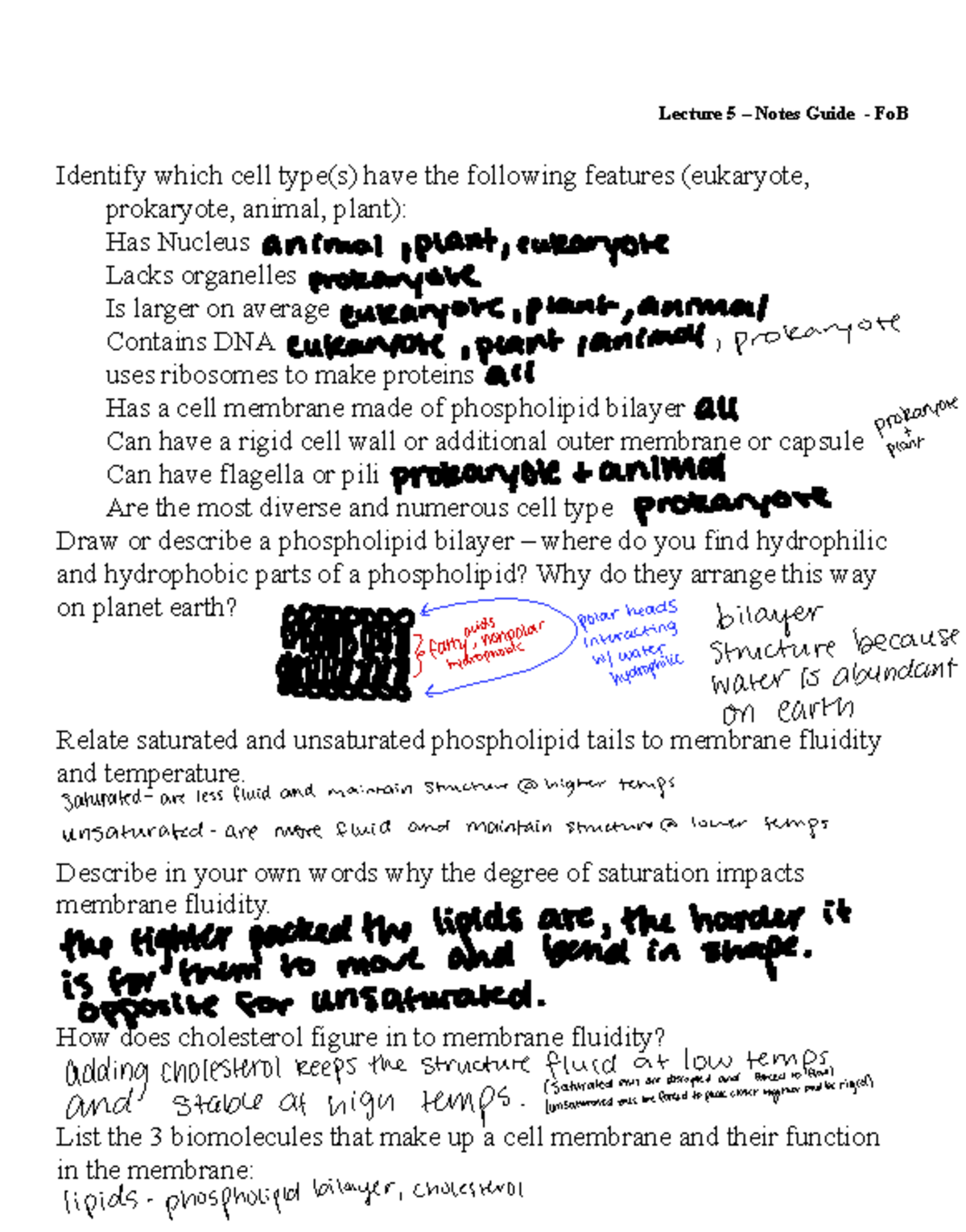 Lecture 5 Notes Guide - Lecture 5 – Notes Guide - FoB Identify which ...