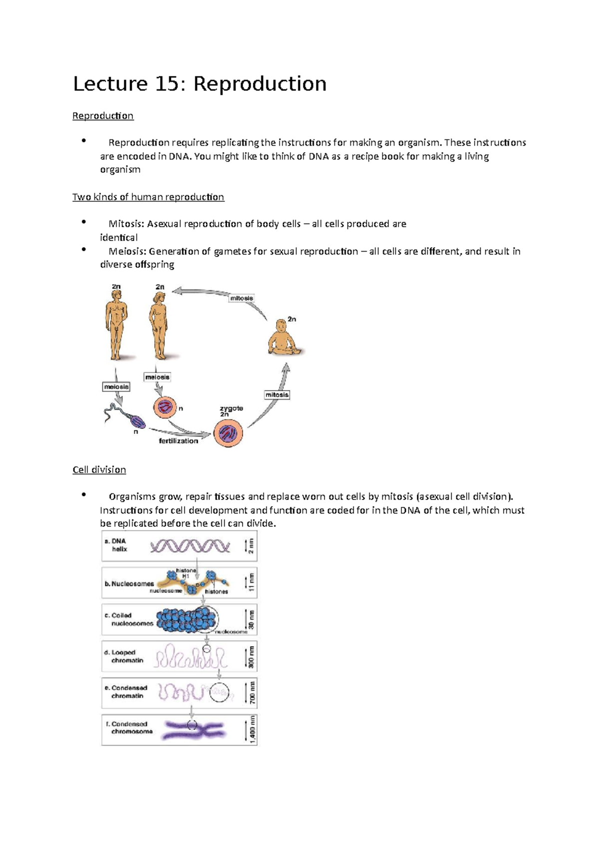 BIOL1210 Lecture 15: reproduction system - Lecture 15: Reproduction ...