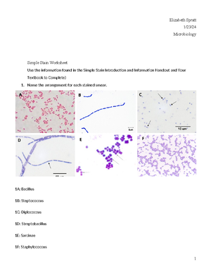 Lab Gram Stain Simulation Analysis - Elizabeth Spratt Microbiology 1/30 ...