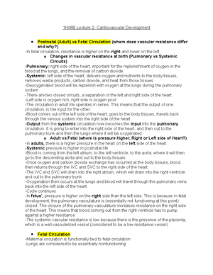 Coronary artery disease - coronary artery disease pathophysiology CAD ...